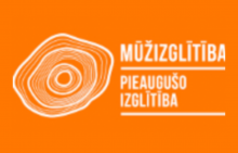 Uz oranža fona uzraksts baltiem burtiem "Mūžizglītība. Pieaugušo izglītība" un koka stumbra faktūras zīmējums
